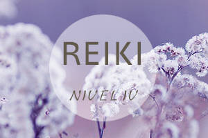 Reiki Nivel 4 (MAESTRÍA GOKUIKAIDEN)