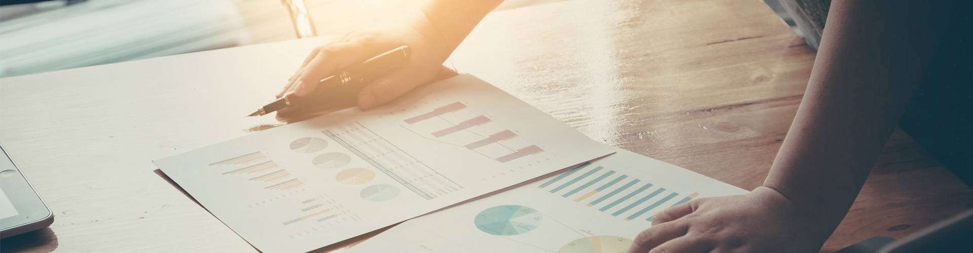 TT Services procedimientos