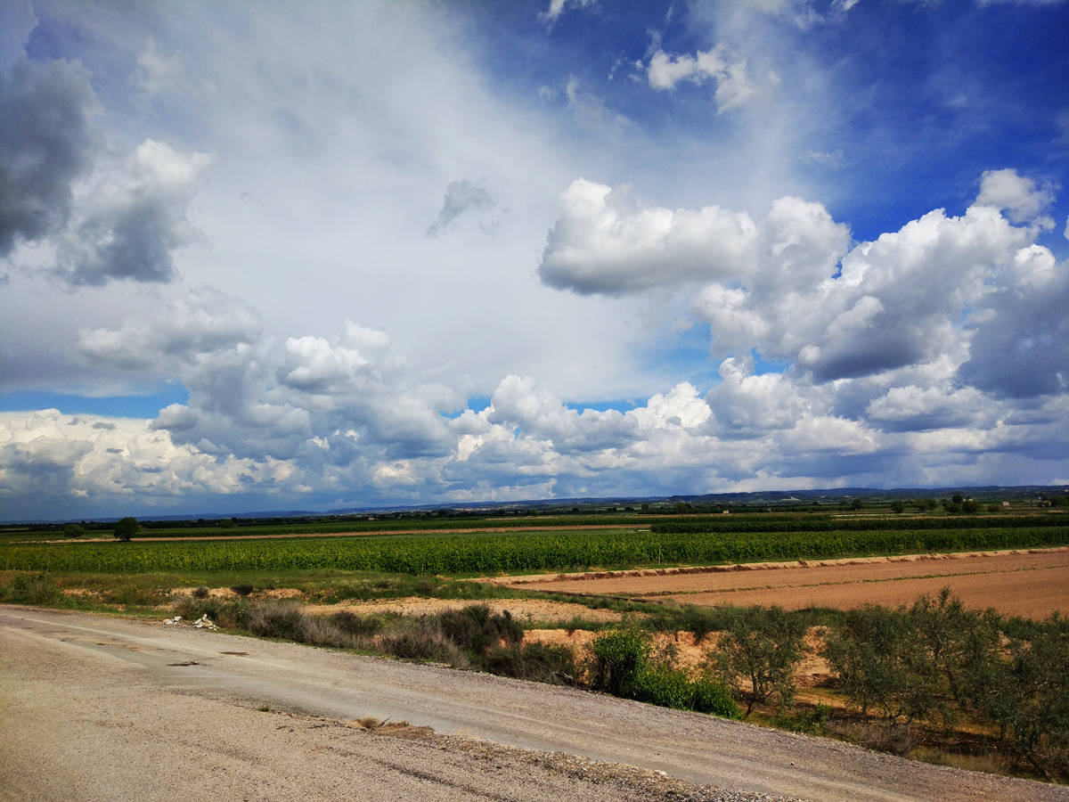 MSDS and DATA SHEET updating