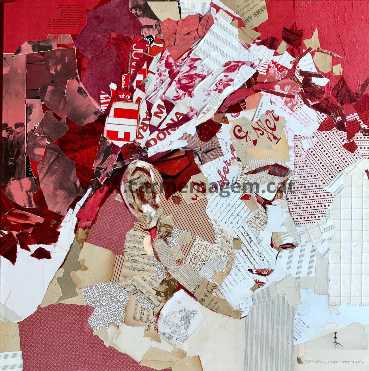 Carme Magem artwork projects